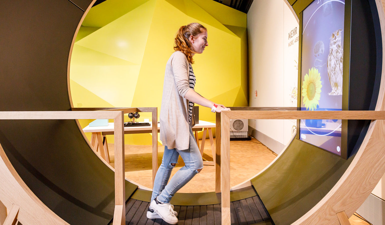 YIPP - Digital experiences for screens & spaces