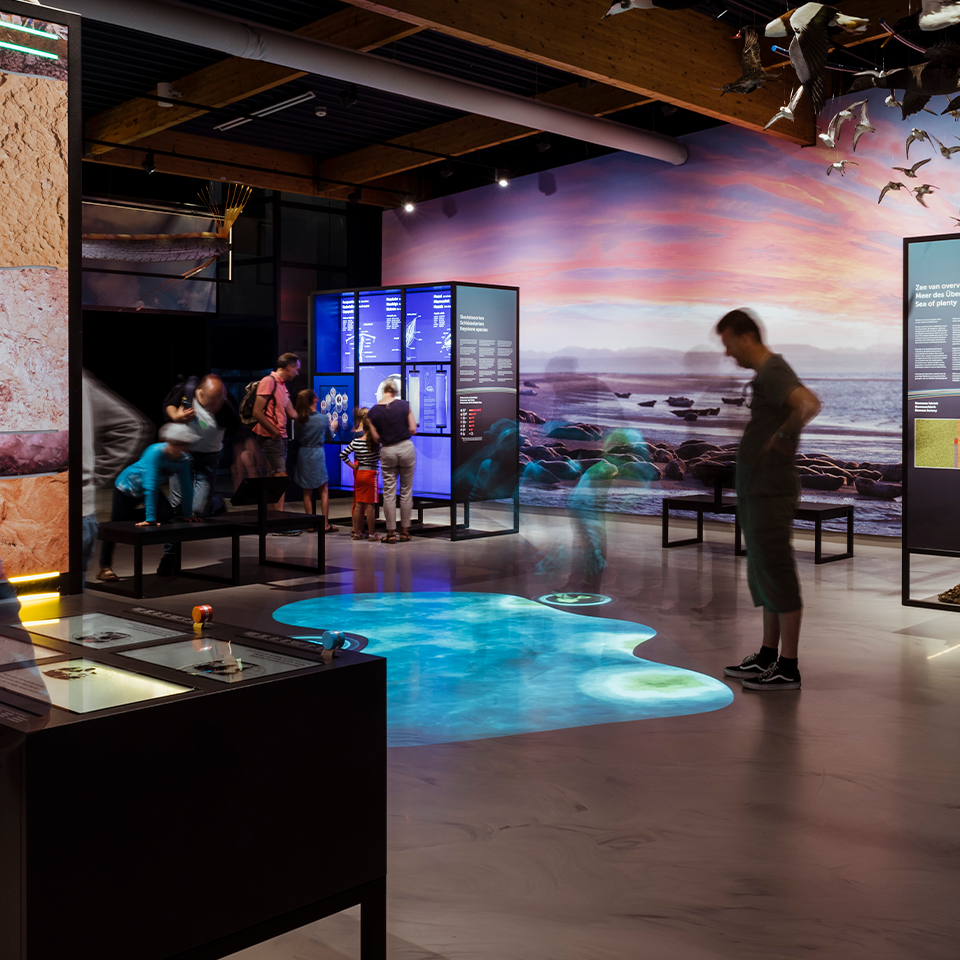 YiPP - Digital experiences for screens & spaces