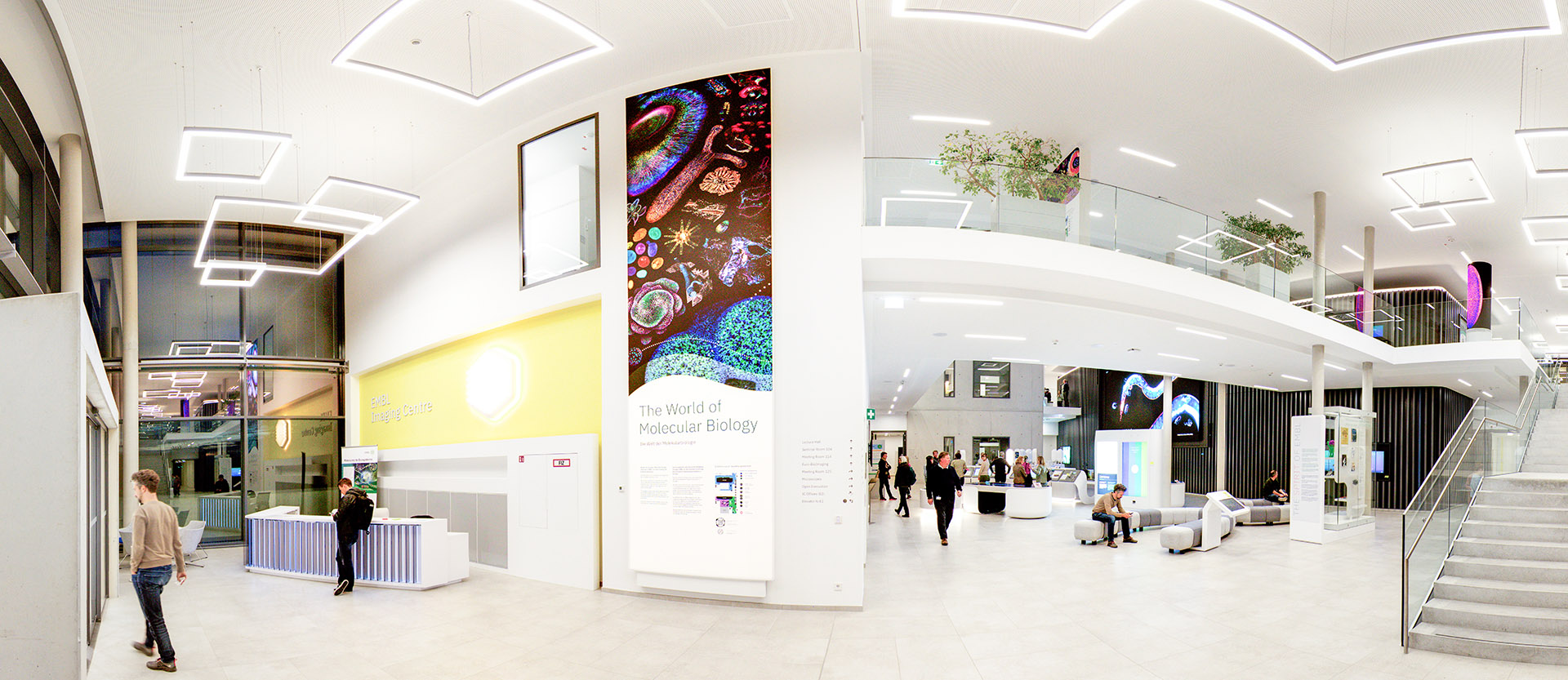 YIPP - Digital experiences for screens & spaces